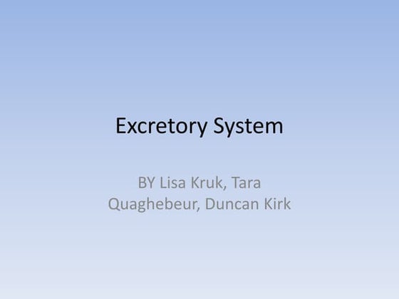 Renal System Anatomy | PPTX