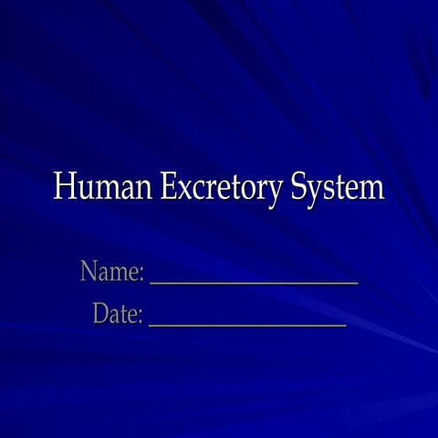 Excretory system | PPT
