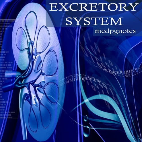 Excretory system sample | PDF