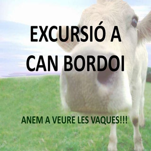 Excursió a can bordoi | PPTX