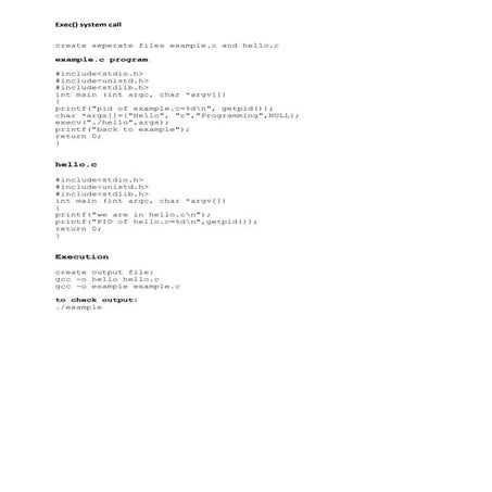 exec system call.pdf