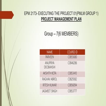 Executing the project - Final PPT.pptx