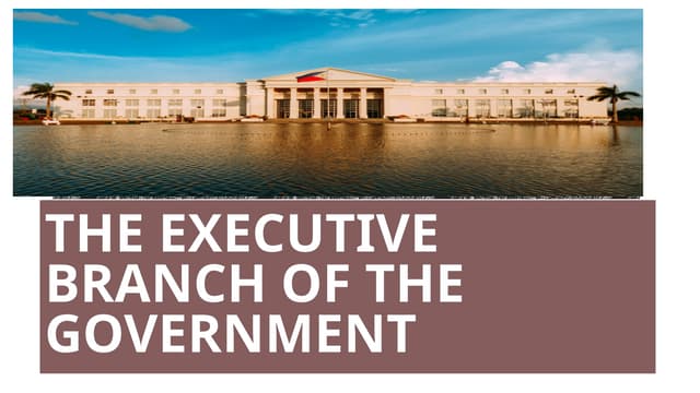 The executive | PPTX