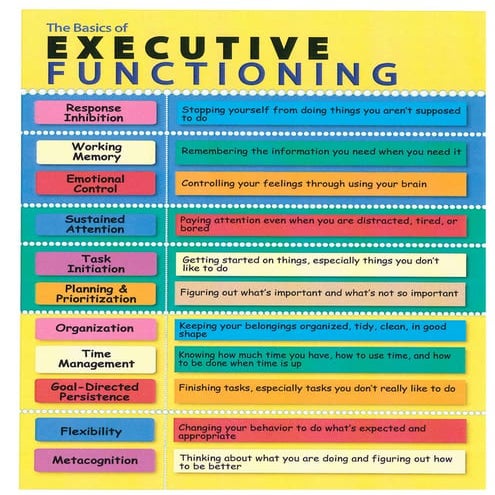 Executive functioning skills info | PDF