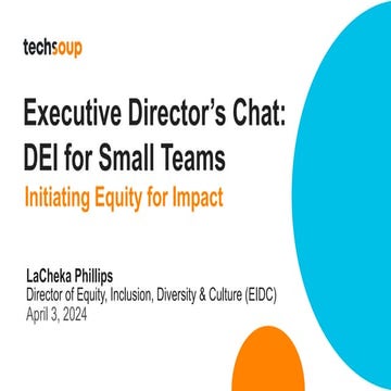 DEI Challenges and Success | PDF