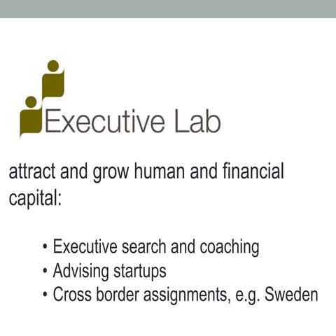 Executive lab 3slide presentation . who we are and what we do | PDF