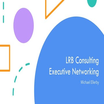 LRBConsultingExecutiveNetworkingpresenataion.pdf