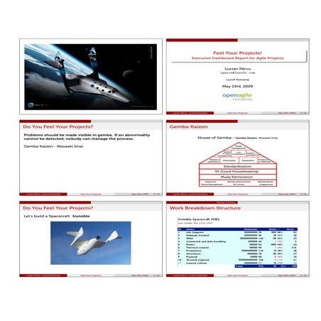 Executive Report Executive Dashboard Report Handout | PDF