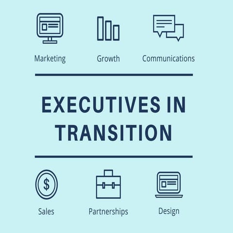 Executives in transition Survey Results | PPT