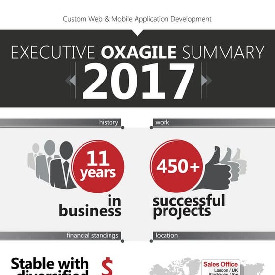 Executive summary 2013 oxagile | PDF
