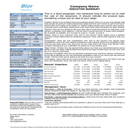 Executive summary template | PDF