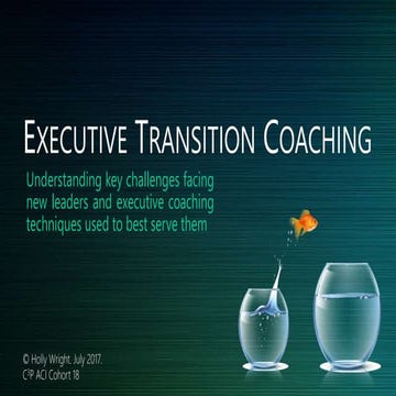 Executive Transition Coaching: Understanding key challenges facing new ...
