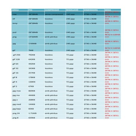 Photosynthesis Class Smartboard | PPTX