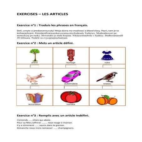 Definite articles in French contr.ppt