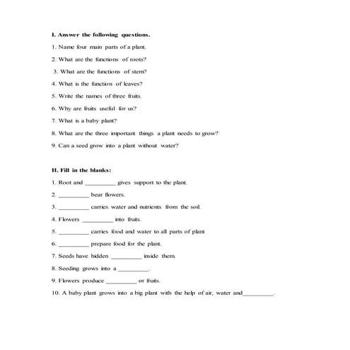 plant stem and root | DOCX