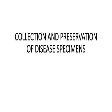 Exercise-4 Preservation.pptx
