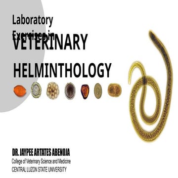 Exercise 1.pptx quiz about vet medicine Ph | PPTX