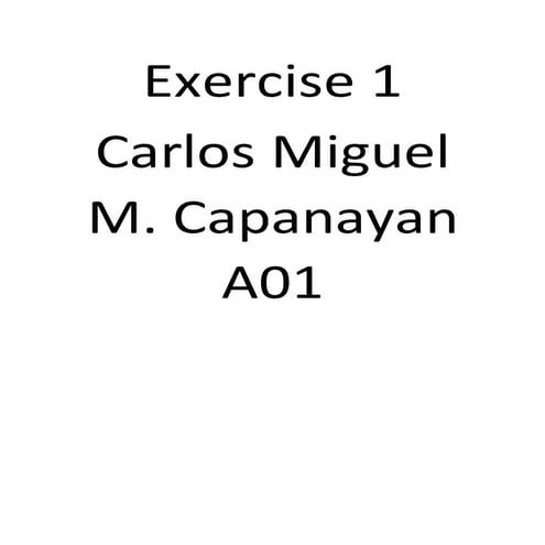 Exercise 1 (capanayan, a01) | PDF
