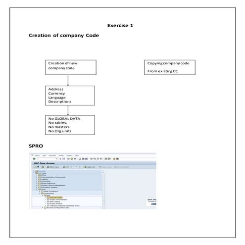 Exercise 1 client , company , company code | DOCX