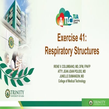 Respiratory System Laboratory Lecture Based on Seeley's | PPTX