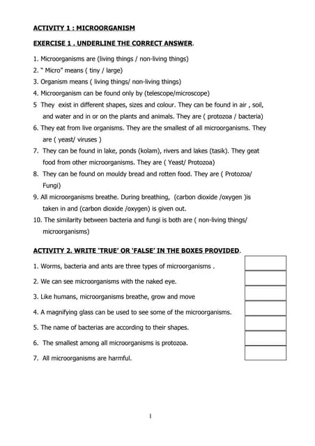 PT3 English Model 1 (Answer) | PDF