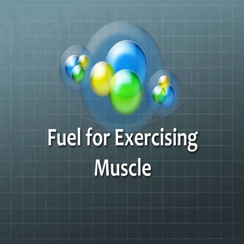 Exercise physiology 3 | PPTX