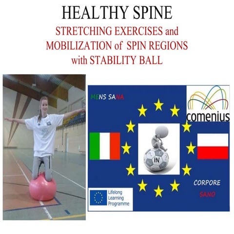 Exercises for spine - Guide 1 - Stretching and mobilization | PPTX
