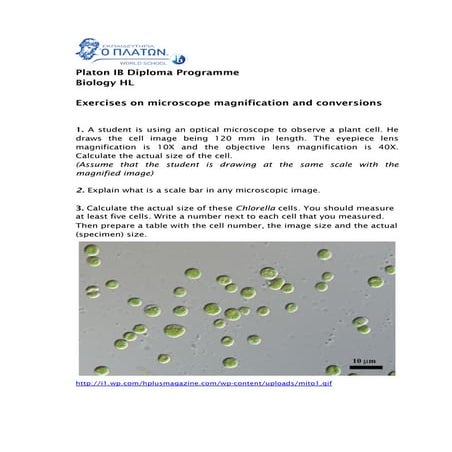 Exercises on microscope magnifications and conversions | PDF