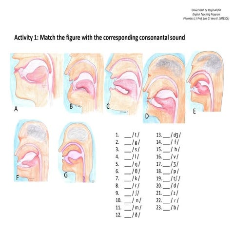 Exercises on places of articulation | PDF