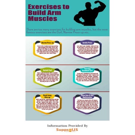 Exercises to Build Arm Muscles | PDF
