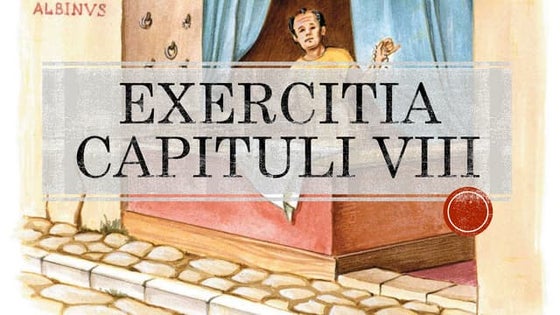 Exercitia capituli iii - pronomen relativus | PPTX