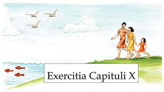Exercitia capituli iii - pronomen relativus | PPT