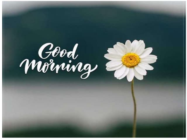 CANINE IMPACTION 1.pptx