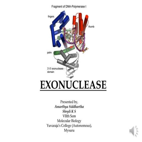 Exonuclease | PPTX