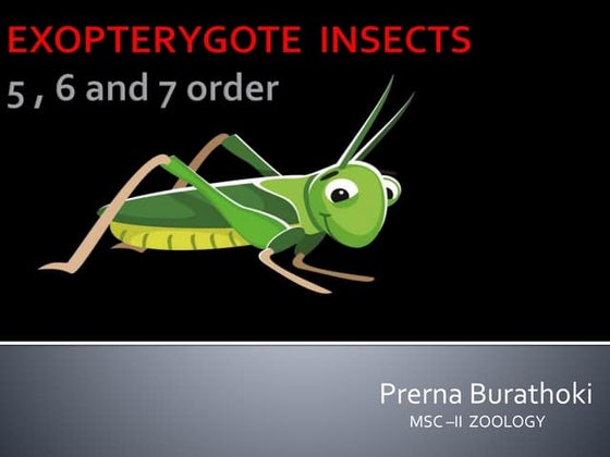 INSECT WING AND ITS MODIFICATION by Dr chetna Khandakar Sgcars JDB ...