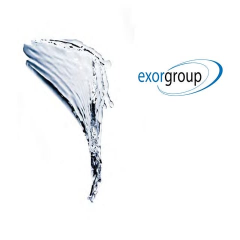 Exor Group Ltd Company Presentation | PDF