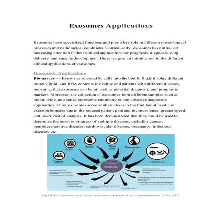 Exosome applications | PDF