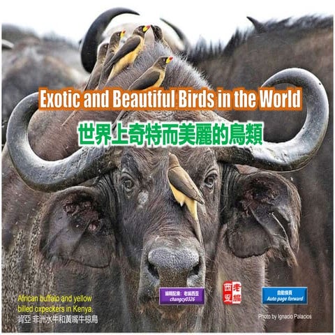 Exotic and Beautiful Birds in the World (世界上奇特而美麗的鳥類).ppsx