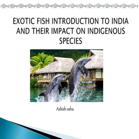Ornamental Fish Species List | PDF