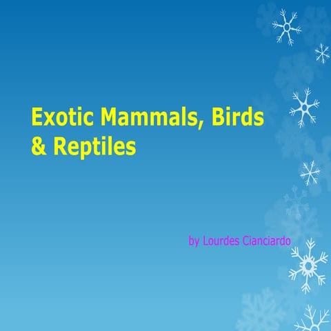 Exotic mammals, birds & reptiles final version | PPT