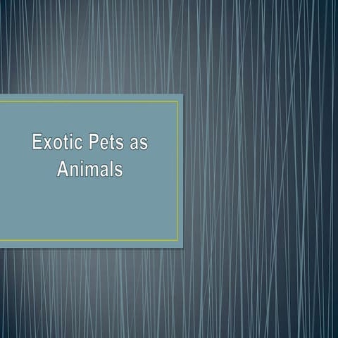 Exotic pets as animals | PPTX