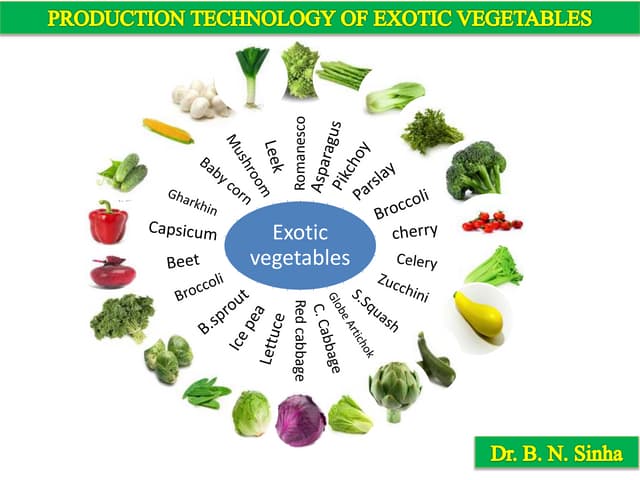 Vegetables | PPT