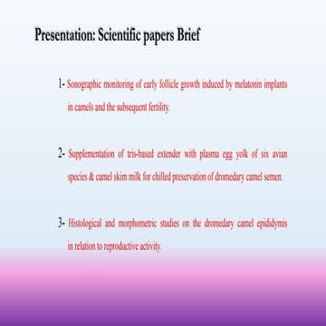 Presentation: Scientific papers Brief | PPTX