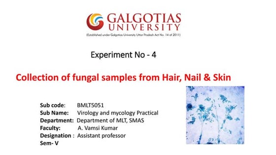 Identifying Unknown Bacteria Lab Pdf