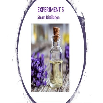 Clove Oil Steam Distillation | PDF