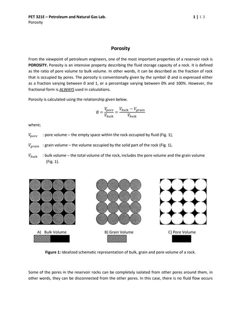 BET surface area analysis | PDF | Physics | Science