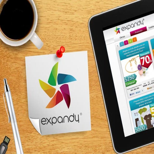 Expandy | PDF