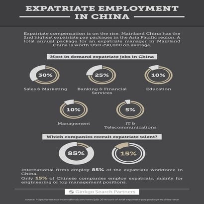 Expatriate Employment in China | PDF