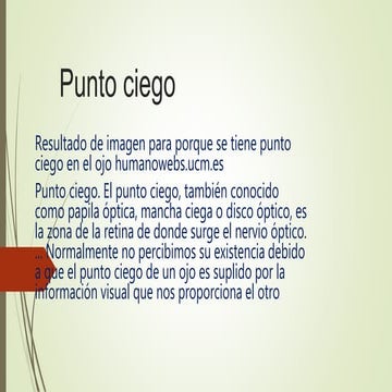 Exp del punto ciego | PPTX
