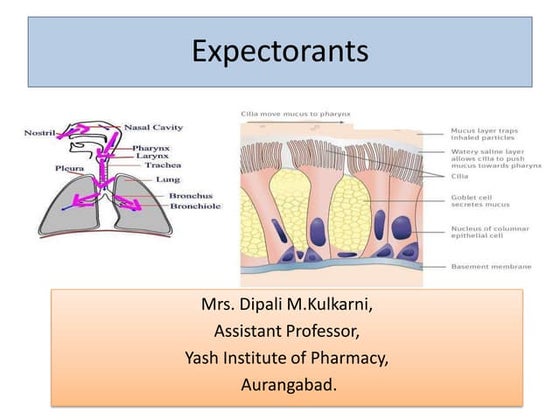 Expectorant | PPT